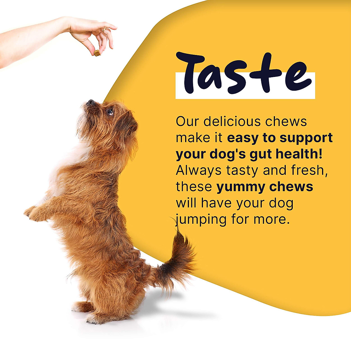 Dog Probiotics and Digestive Enzymes, 120 Delicious Chew Treats for Gut Health, Diarrhea, and Constipation - Hydrolyzes Nutrients for Better Absorption