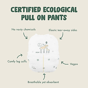 Naty Training Pants - Size 5-20 ct