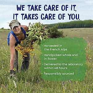 Boiron Arnicare Bruise Gel for Relief of Bruise Pain, Muscle Swelling, Soreness, and Discoloration - Non-greasy and Fragrance-Free - 1.5 Ounce (Pack of 2)