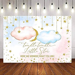 Avezano Twinkle Twinkle Little Star Gender Reveal Backdrop Pink Blue Little Stars Baby Shower Background Glitter Gold Stars Moon Baby Reveal Surprise Party Photoshoot Banner(7x5ft)