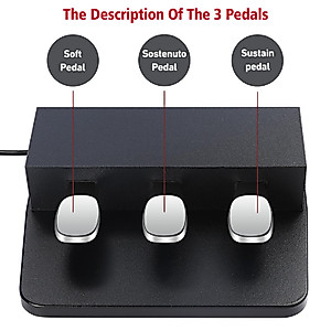 3-Pedal For Digital Keyboards Pianos,Three Foot Pedal Unit Compatible With Yamaha P125, P121, P515, DGX670 Electric Digital Pianos