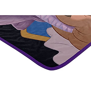 Northwest Beauty & The Beast Micro Raschel Throw Blanket, 46" x 60", True Love