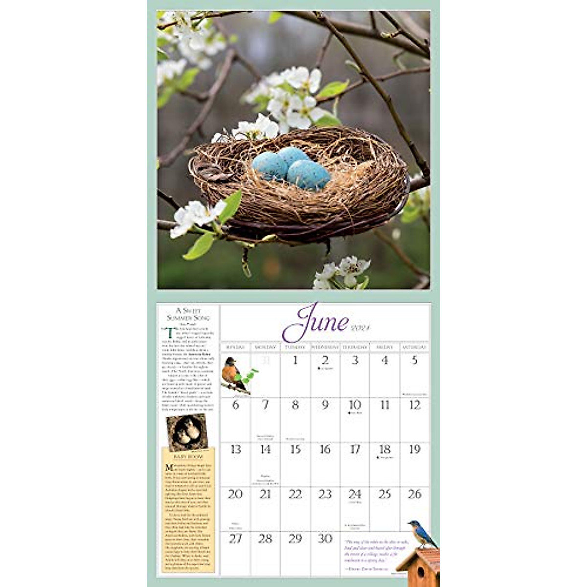 Audubon Birds in the Garden Wall Calendar 2021