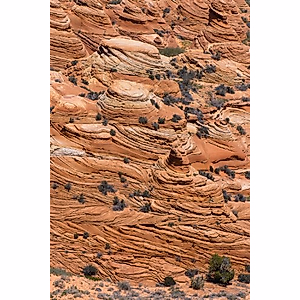 Sigma SD15 14MP X3 FOVEON CMOS Digital SLR with 3.0 inch LCD