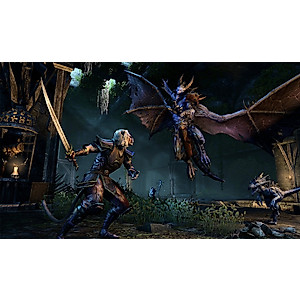 The Elder Scrolls Online Gold Edition - PlayStation 4 (Imported Version)