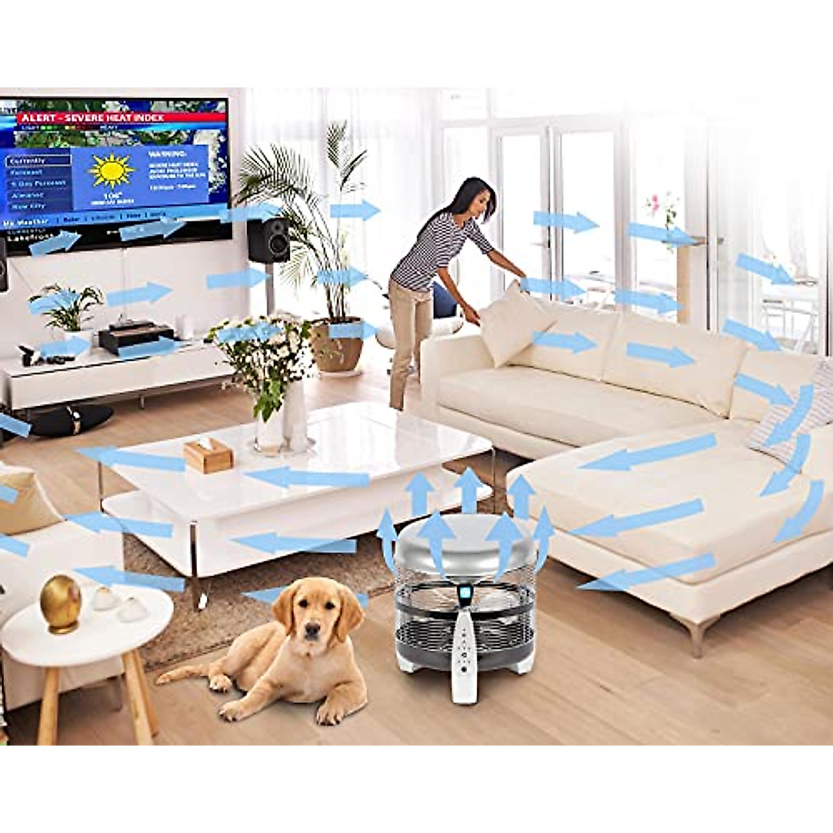 Fcp Power 360 Super Fan Cost Effective, Portable Design - Silver/Black with Remote Control