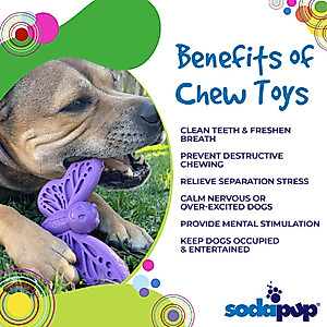 SodaPup Butterfly – Durable Dog Chew Toy Made in USA from Non-Toxic, Pet Safe, Food Safe Nylon Material for Mental Stimulation, Clean Teeth, Fresh Breath, Problem Chewing, Calming Nerves & More
