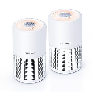 Air Purifiers for Bedroom, FULMINARE H13 Small Air Purifiers for Home Pets with HEPA Air Filter, Quiet Air Cleaner With Night Light, Remove 99.97% 0.01 Microns Dust, Smoke, Pollen