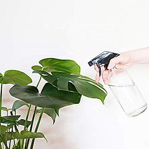 Glass Spray Bottle, Niuta 16 OZ Clear Glass Empty Spray Bottles with Labels for Plants, Pets, Essential Oils, Cleaning Products (1 Pack, Clear.)