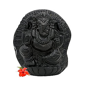 Vedic Vaani Natural Gandaki River Stone Vakratunda Ganesh Shaligram Statue (1 Pc)