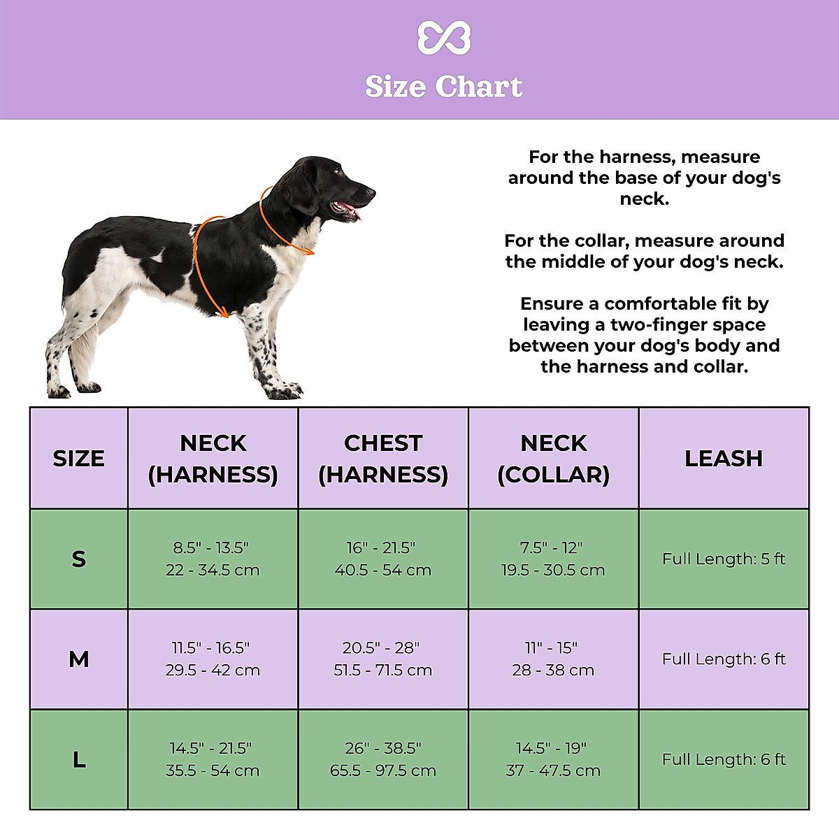 Dog Harness and Leash Set | BearBone No Pull Dog Harness and Waterproof Dog Collar and Leash Set | Heavy Duty Dog Harness, Leash and Collar | Medium Dog Harness, Leash and Collar (Lilac, Medium)