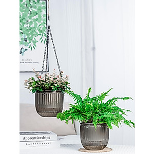 Josteve 6.5 Inch 2 Pcs Self Watering Hanging Planter Indoor Plant Pots Drainage Holes, Outdoor Hanging Planters Flower Pot Basket, Visible Water Level, Plant Hanger Home Decor, Gardening