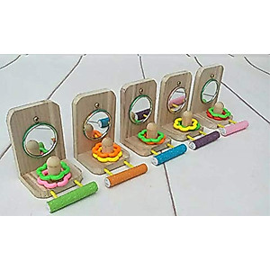Bird Perch Mirror Toy Stand Parrot Chew Toy Intelligence Training Grinding Claw Trim Beak for Small Parakeet Cockatiel Conure Lovebird Canary Lovebird Budgie, Cage Accessories (Color Random)