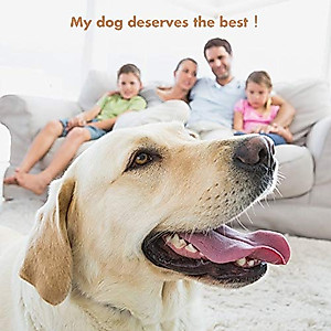 GLADOG 6 Inch Professional Large Cotton Buds for Dogs, Specially Designed Dog Cotton Buds with Wood Handle, Large Means Safe