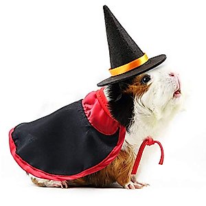RYPET Guinea Pig Holiday Costumes - Guinea Pig Hat and Cape for Ferret Chinchilla Bearded Dragon and Other Similar Sized Animal
