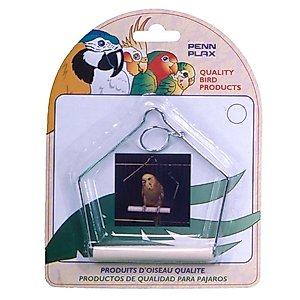 Penn Plax Bird Swing, 3-Inch