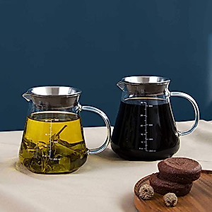 Glass Range Coffee Server For Pour Over Coffee & Tea - 600ml/20oz Ovalware Microwave Safe & Heatproof 2.5mm Thick Glass Body