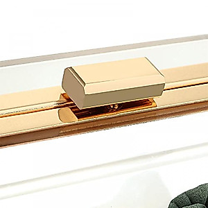 Acrylic Purses and Handbags for Women Floral Beaded Embellished Clutch Elegant Banquet Evening Handbags Crossbody Bag