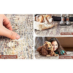 RORA Area Rug 5x7 Machine Washable Rugs for Living Room, Bedroom, Dining Room, Distressed Boho Home Decor Floor Decoration Carpet Mat