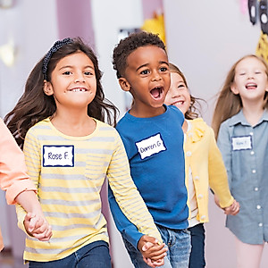 Avery Name Tags, White with Blue Border, 100 Removable Name Badges (05144)