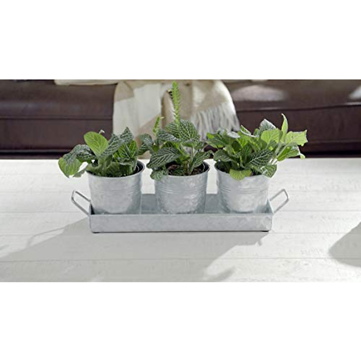 Farmhouse Herb Pots with Tray - Galvanized Vintage Planters