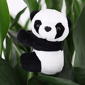 9 Pcs Finger Panda Plush 4 inch Panda Clips Curtain Holder Stand Note Memo Clips Photo Holder Cute Panda Toy Doll Finger Kids Toy,Home Decoration Plant Pots Bonsai Craft Decor,Chinese Style Souvenir