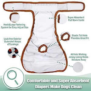 wegreeco Washable Female Dog Diapers (Pack of 3)