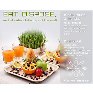 Ecodeco Palm Leaf Compostable Plates - 50 pcs - Square - Disposable Eco Friendly Like Bamboo Party Plates with Cutlery - 8 Inch