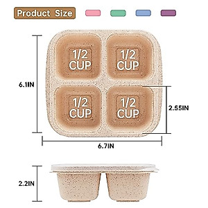 rngwaper 5 Pack Bento Lunch Box，4 Compartment Snack Containers，Divided Bento Snack Box，Meal Prep, Lunch Box Kids/Toddle/Adults,Food Storage Containers for School, Work and Travel (Multicolor-1)