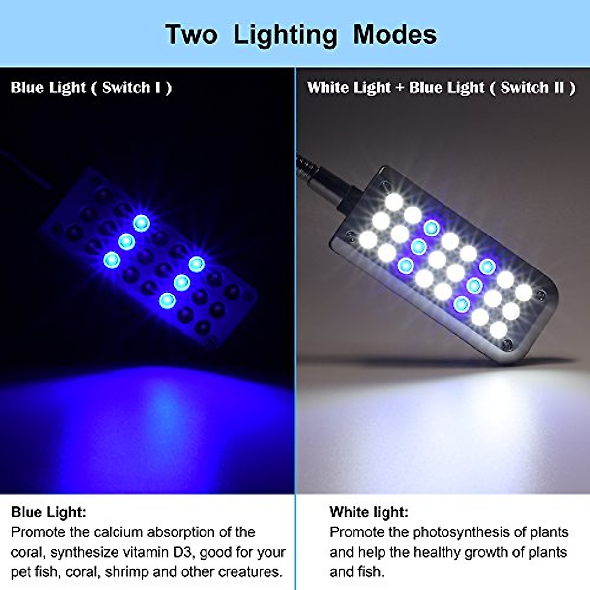 DaToo Aquarium Light Small LED Clip Light for Fish Tank, 1 Yr Warranty