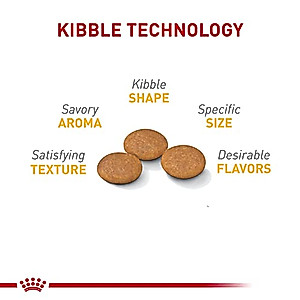 Royal Canin Small Sensitive Skin Care Dry Dog Food, 3 lb bag