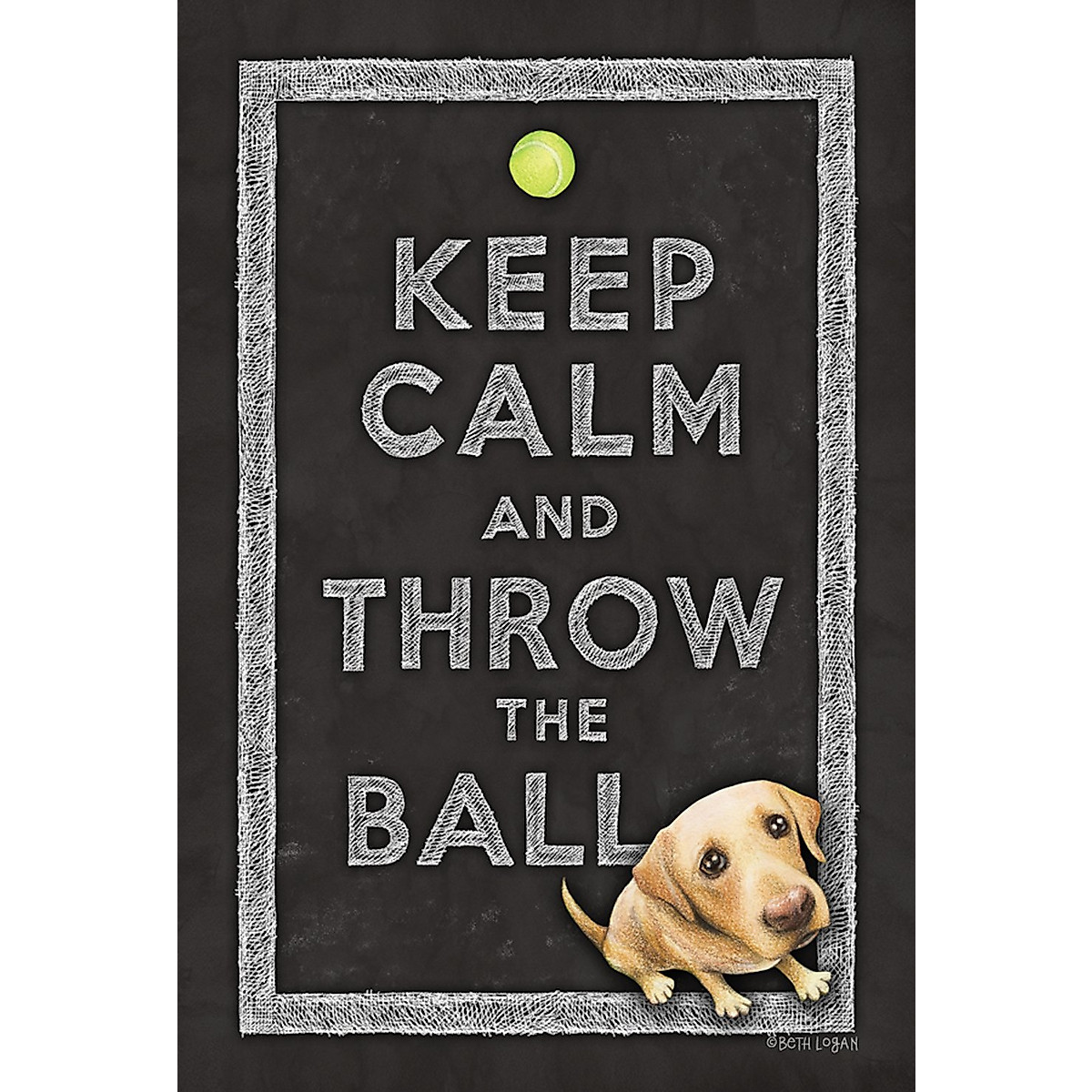 Toland Home Garden 109782 Keep Calm And Throw The Ball Dog Flag 28x40 Inch Double Sided Dog Garden Flag for Outdoor House Puppy Flag Yard Decoration