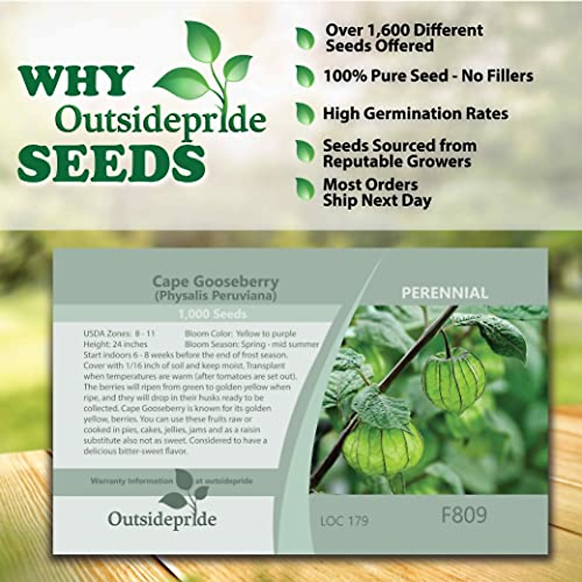 Outsidepride Perennial Cape Gooseberry Physalis Peruviana Goldenberry Fruit Plants - 1000 Seeds