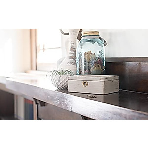 Cottage Garden Memories Moments White Wash Butterfly Tree Petite Decoupage Music Box Plays What a Wonderful World