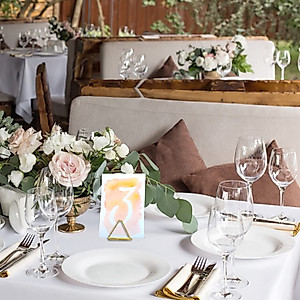 MUMIAO 40 Pack Place Card Holders - Table Number Holder Stands Wedding Seating Labels Placecard Clips | Name Setting Place Card Holders | Photo Picture Cards Display Stand for Party (Gold)