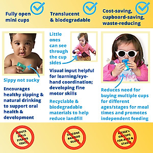 Babycup First Cups Open Baby Cup for Sipping, Baby Weaning Cup, Toddler Trainer Cup, Mini Size, Open Cup for Babies Weaning and Baby Led Weaning, 50ml Baby Cups 4m+, Fully Recyclable (4pk Yellow)