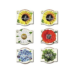 Buzzy® Terracotta Mini Grow Pots | Assorted 6-Pack | Daydream Collection | Sunflower, Daisy, Poppy, Cactus, Forget-Me-Not | Best Gardening Gifts and Favors | Growth Guaranteed