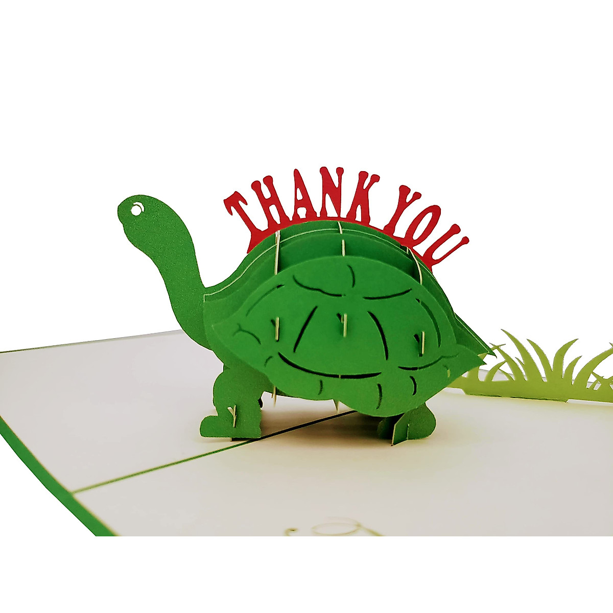 iGifts And Cards Cute Turtle Thank You 3D Pop Up Greeting Card - Funny Animals, Turquoise, Blank, Cool, Fun, Half-Fold, Thank You, Gratitude, Appreciation, Friendship, Best Friend, Belated, Kids, Grad