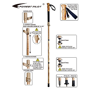 FOREST PILOT Trekking Pole- 1-pc Pack - Adjustable Hiking or Walking Stick –Strong, Natural Beech Wood - Quick Adjust Flip-Lock - Beech Wood Grip, Leather Strap (Black)