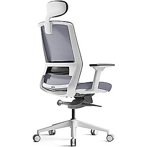 BESTUHL J17 Home Office Desk Chair - Ergonomic, High Back, 3 Lockable Recline Positions, 3-Way Armrest, Adjustable Seat Depth & Lumbar Support, Breathable Mesh Back (White and Grey)