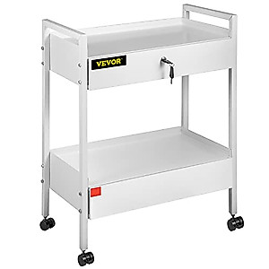 VEVOR Lab Cart, 2 Tiers Stainless Steel Utility Cart Medical Cart 2 Drawers Rolling Lab Cart White Paint Serving Cart with 360° Casters for Laboratory Hospital Dental Office Salon Beauty