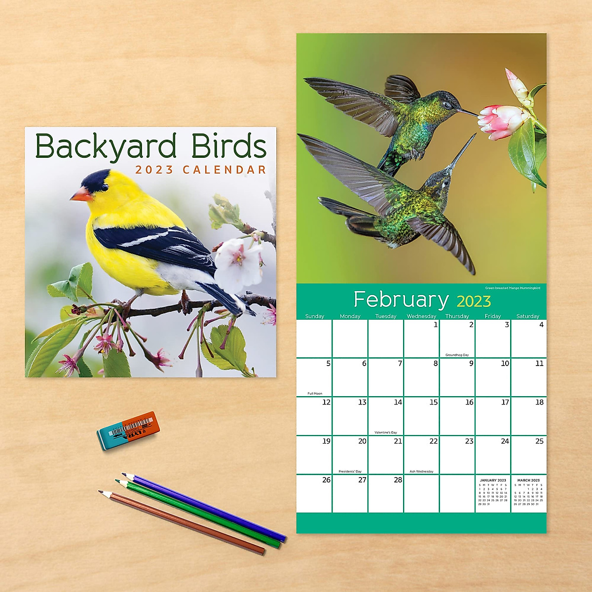 TF PUBLISHING Backyard Birds Mini Calendar 2023 | 2023 Wall Calendar 12 Month Large Grid 2023 Calendar Wall | Premium Wall Calendar 2023 Monthly | Planners + Calendars 2023 Office Calander 2023 7"x7"