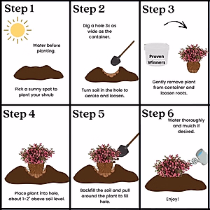 2 Gallon Proven Winners Weigela Wine & Roses Shrub