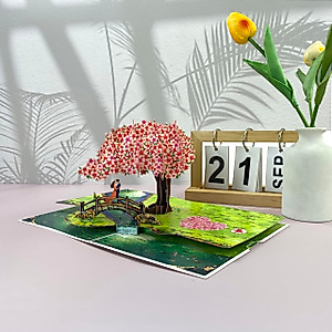 NORVAS Pop Up Anniversary Cards 3D Cherry Blossom Bridge with Couple in Love, Romantic Greeting Card for Wife, Husband, Her, Him, Wedding Card, Happy Valentine’s Day, 6"x 8" Happy Mother’s Day Pop Up Card