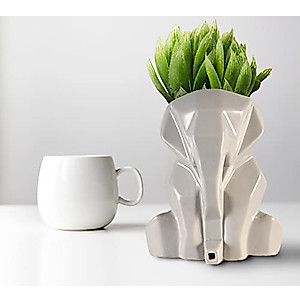 LUMI Small Succulent Pot with Drainage (6.3 Inches) - Cute Ceramic Pots for Flowers, Bosnai and Cactus -Planter for Indoor Plants - Nice Home Decor Idea