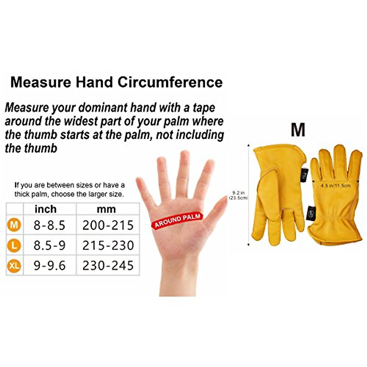 KIM YUAN Leather Work Gloves Perfect for Gardening/Cutting/Construction/Motorcycle, Men & Women M