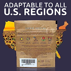 Sunflower Variety Mix 10 Types of Beautiful Sunflowers - Bulk 1 Ounce Packet - Open Pollinated Sunflower Seeds