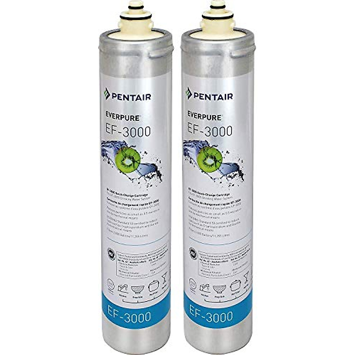 Everpure EV985750 EF-3000 Replacement Cartridge for Full Flow Drinking System (Pack of 2)