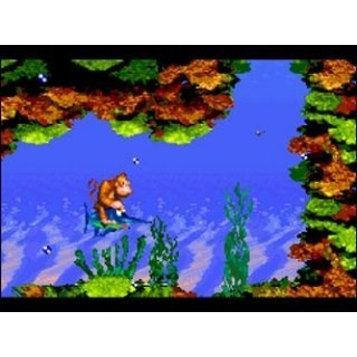 Donkey Kong Country (Renewed)