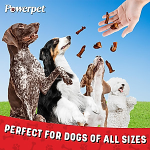 Powerpet Treats Bully Stick Bites - Delicious Dog Treats - All Natural, Long-Lasting Chews, High Protein, Grain-Free, Rawhide-Free - Odorless - Promotes Dental Health, Ideal for All Chewers - 1lb Pack